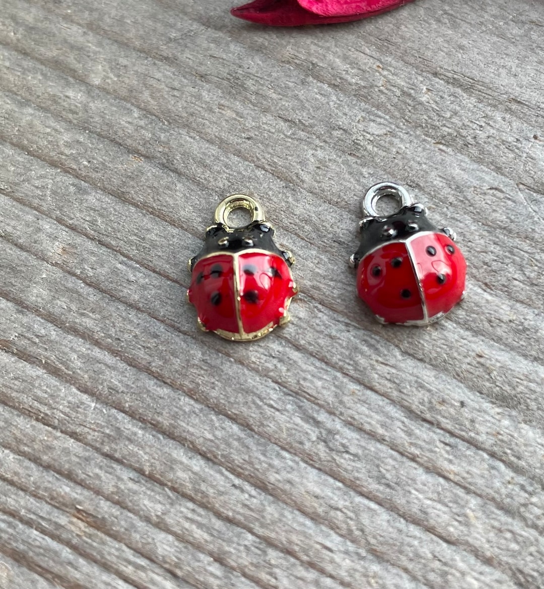 Lady Bird Lady Bug Enamel Charms - Etsy