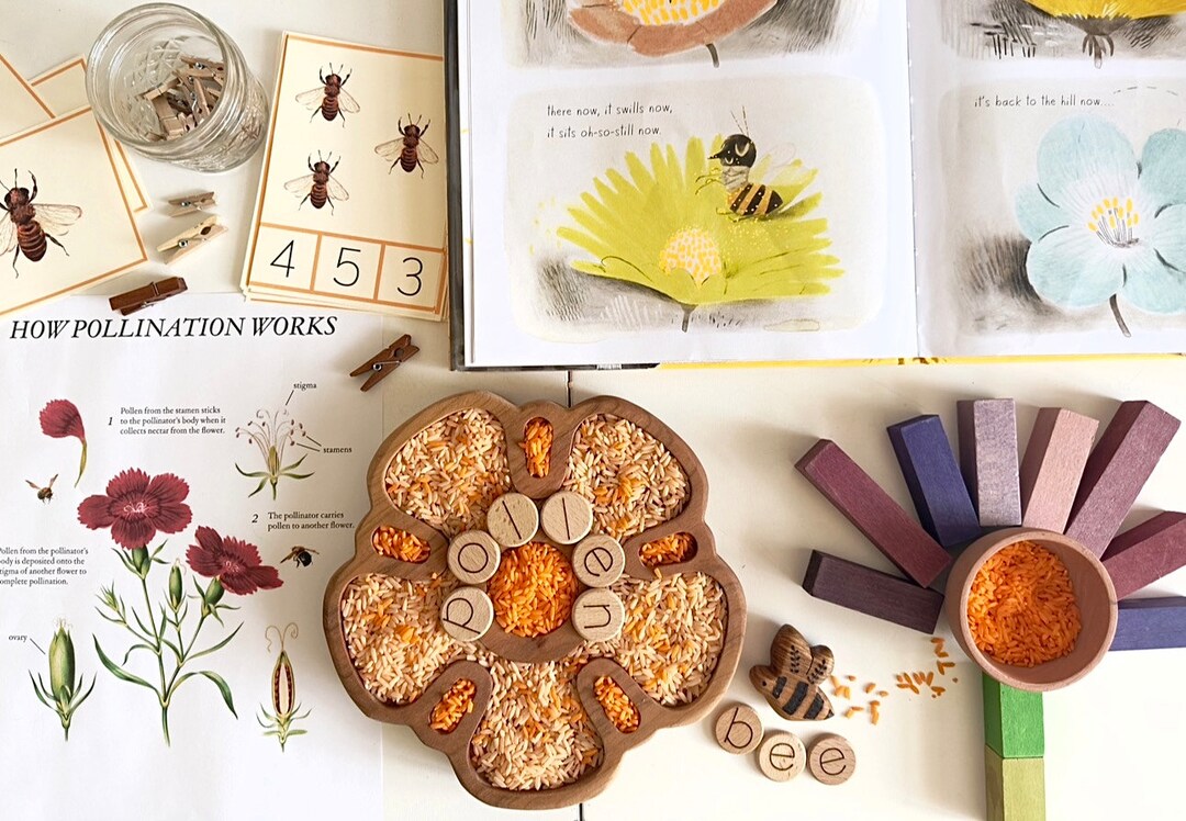 WILDFLOWER Pansy Flower Cherry Wood Tinker Tray Board Sorting ...