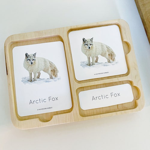 Montessori Inspired Nomenclature 3 Part Activity Card Tray | Etsy