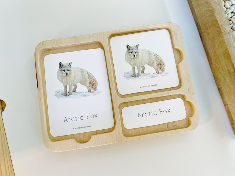 Montessori Inspired Nomenclature 3 Part Activity Card Tray - Etsy