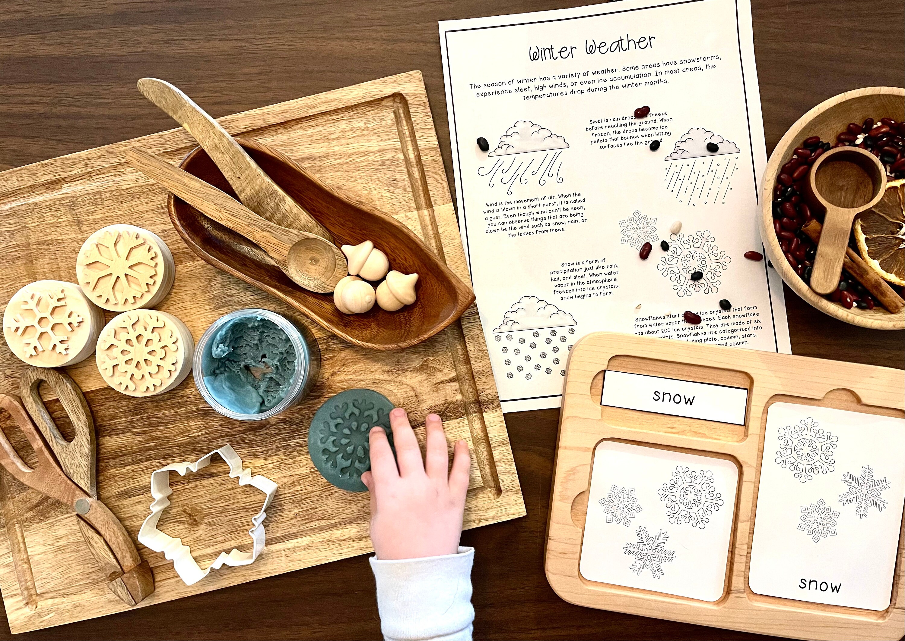 Montessori Inspired Nomenclature 3 Part Activity Card Tray | Etsy