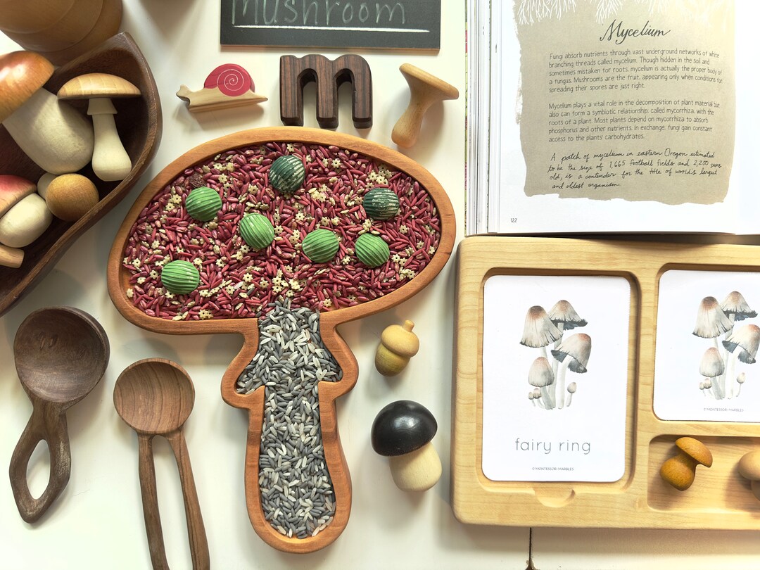 MUSHROOM Sorting Tray Cherry Wood Tinker Fungi Sensory Kit Sorting ...