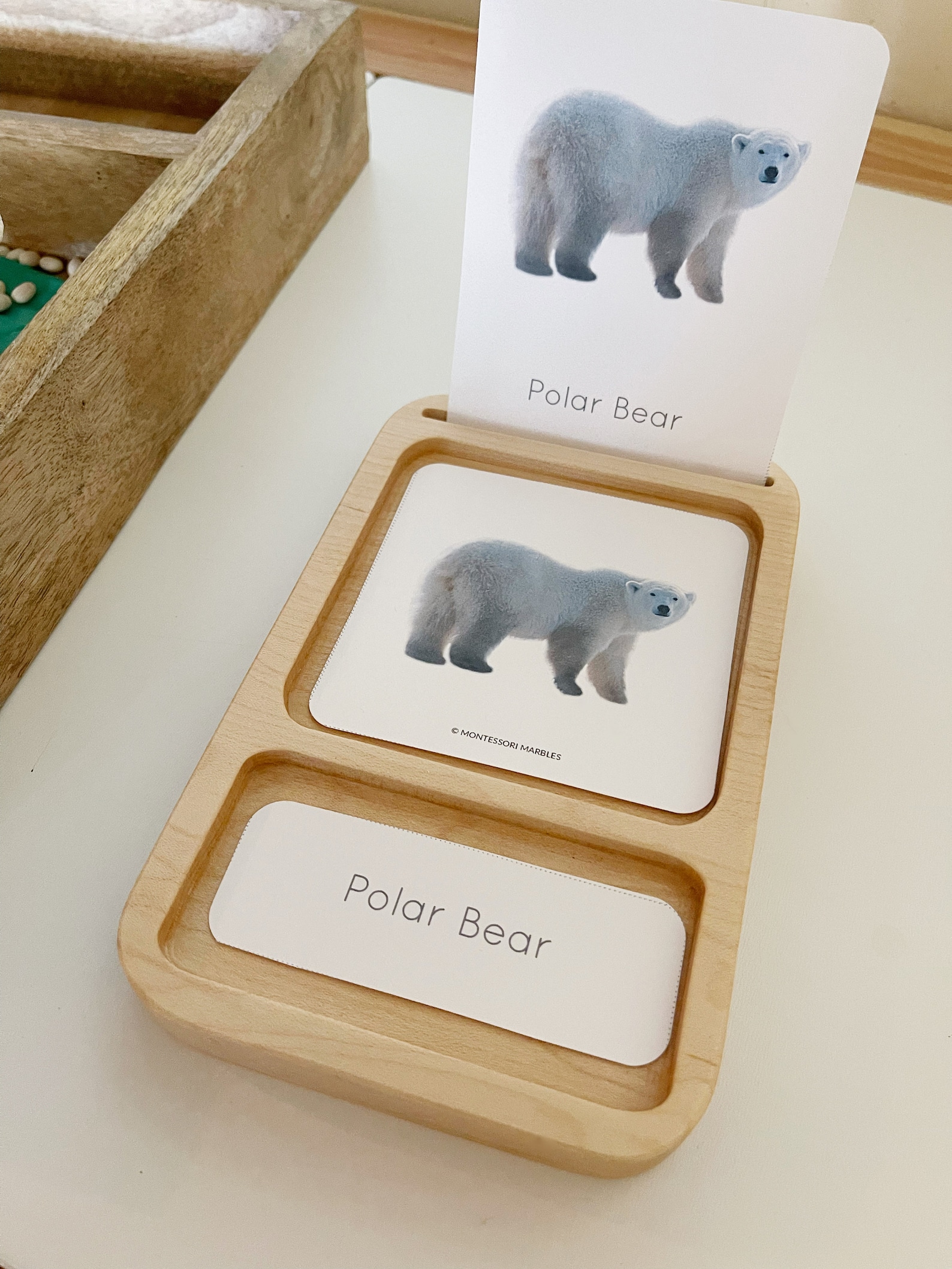 Montessori Inspired Nomenclature 3 Card Standing Card Tray - Etsy