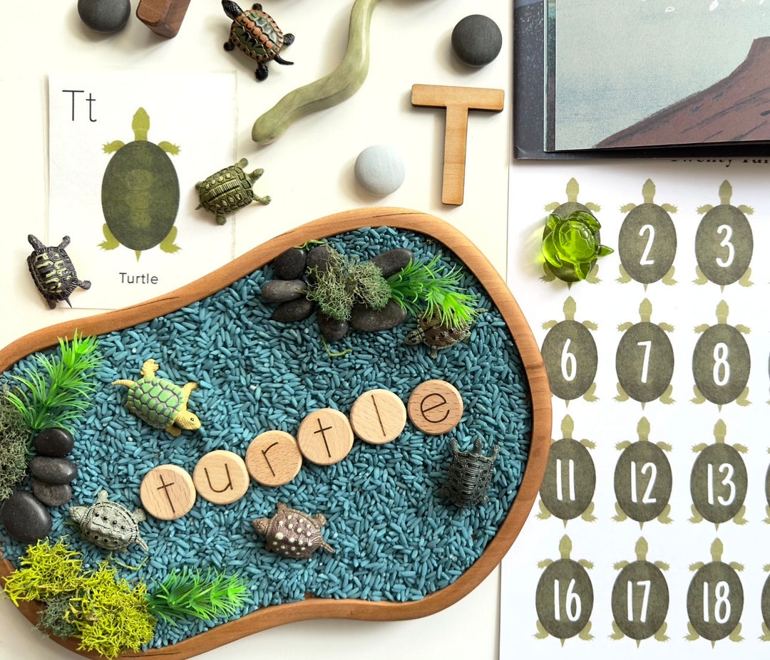 Pond Playscape Sensory Tray Cherry Wood Tinker Bin Homeschool Lesson ...