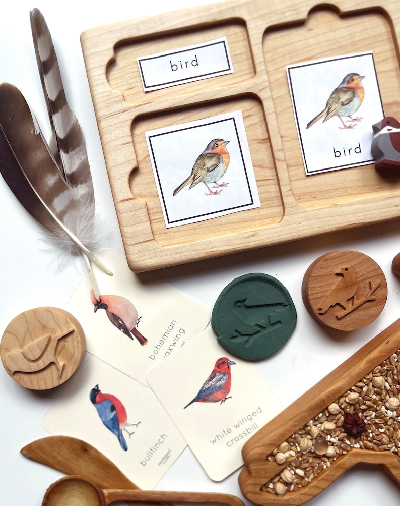 Montessori Inspired Nomenclature 3 Part Activity Card Tray - Etsy