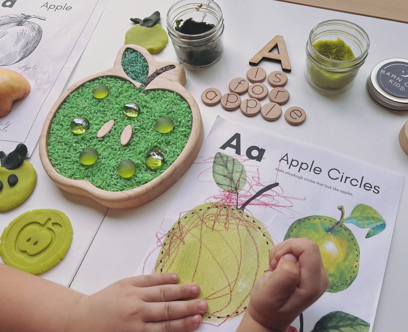 APPLE Maple Wood Tinker Sensory Sorting TRAY Homeschool Lesson Play ...