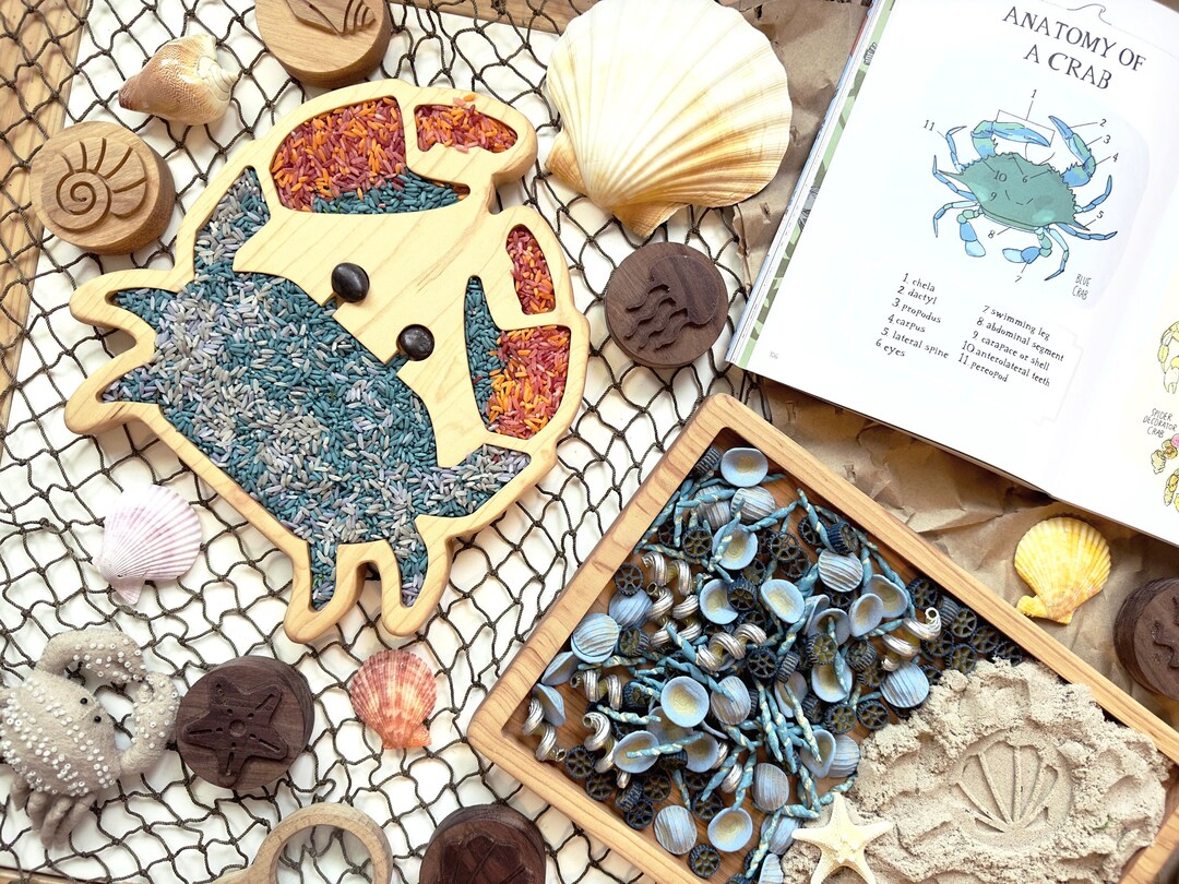 Crab Crustaceans Sensory Tray Board Sorting Homeschool Ocean Summer Sea ...