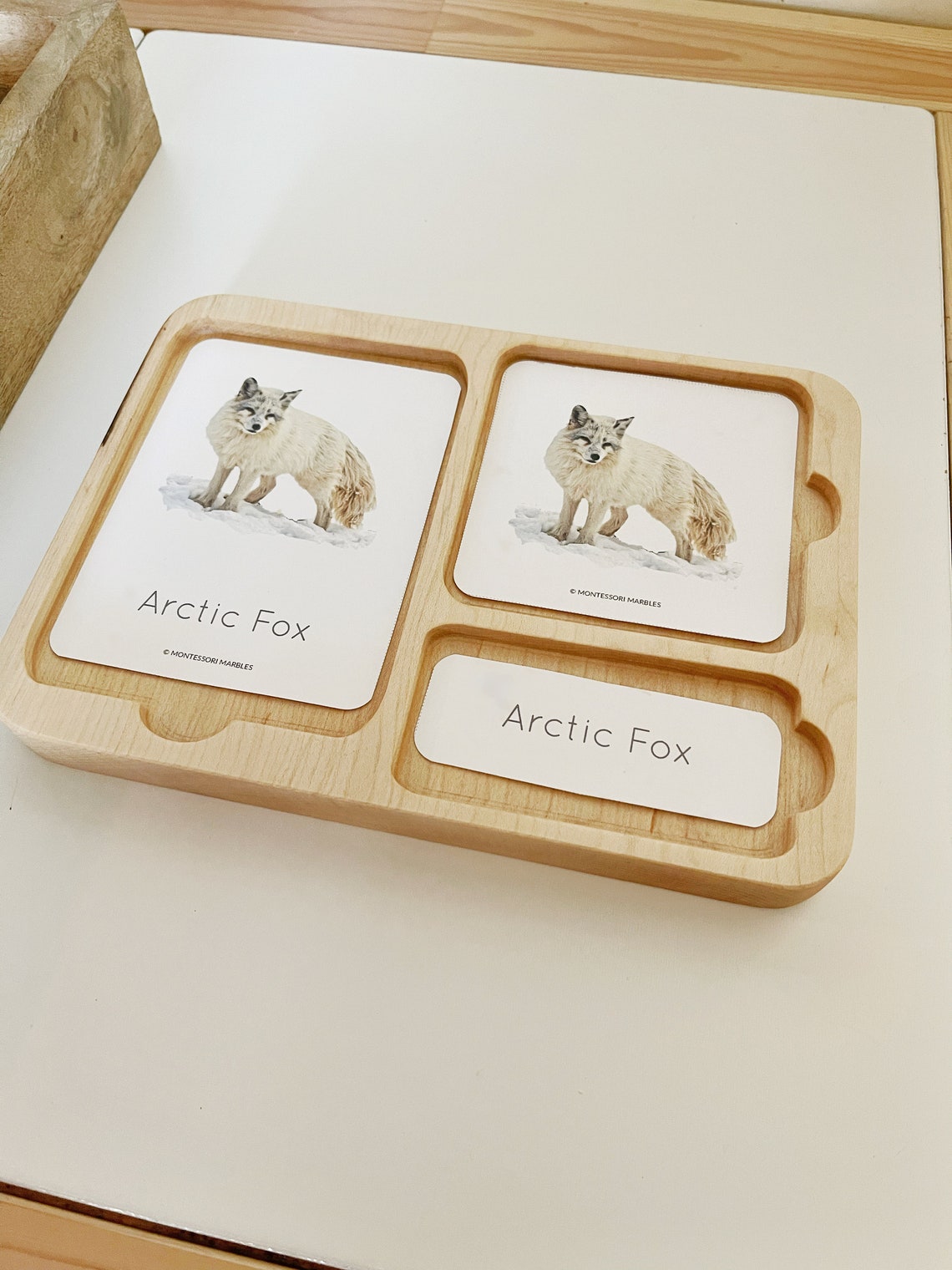 Montessori Inspired Nomenclature 3 Part Activity Card Tray | Etsy