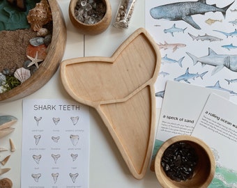 Ocean Sensory Play - Etsy