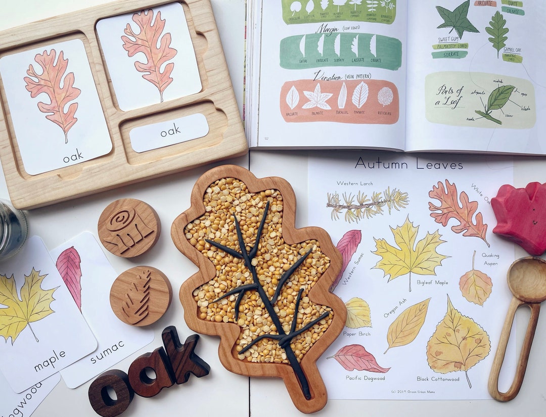 Oak Leaf Cherry Wood Tinker Sensory Sorting Tray Homeschool Lesson Play ...