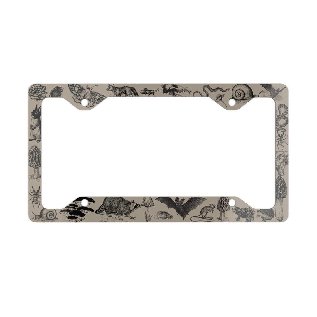 Woodland Creatures Metal License Plate Frame, Nature Critters Car Tag ...
