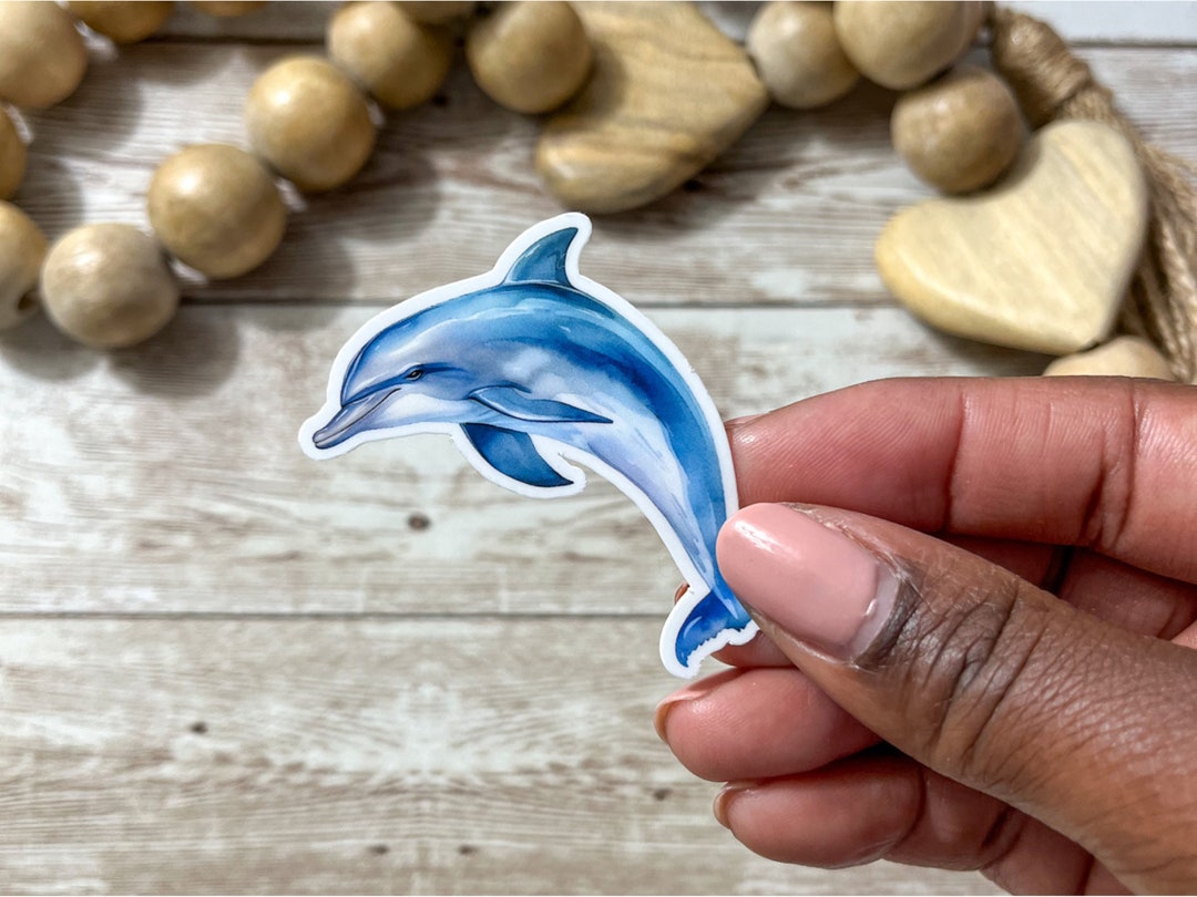 Dolphin Sticker Gift for Her, Cute Animal Sticker, Beach Sticker for ...