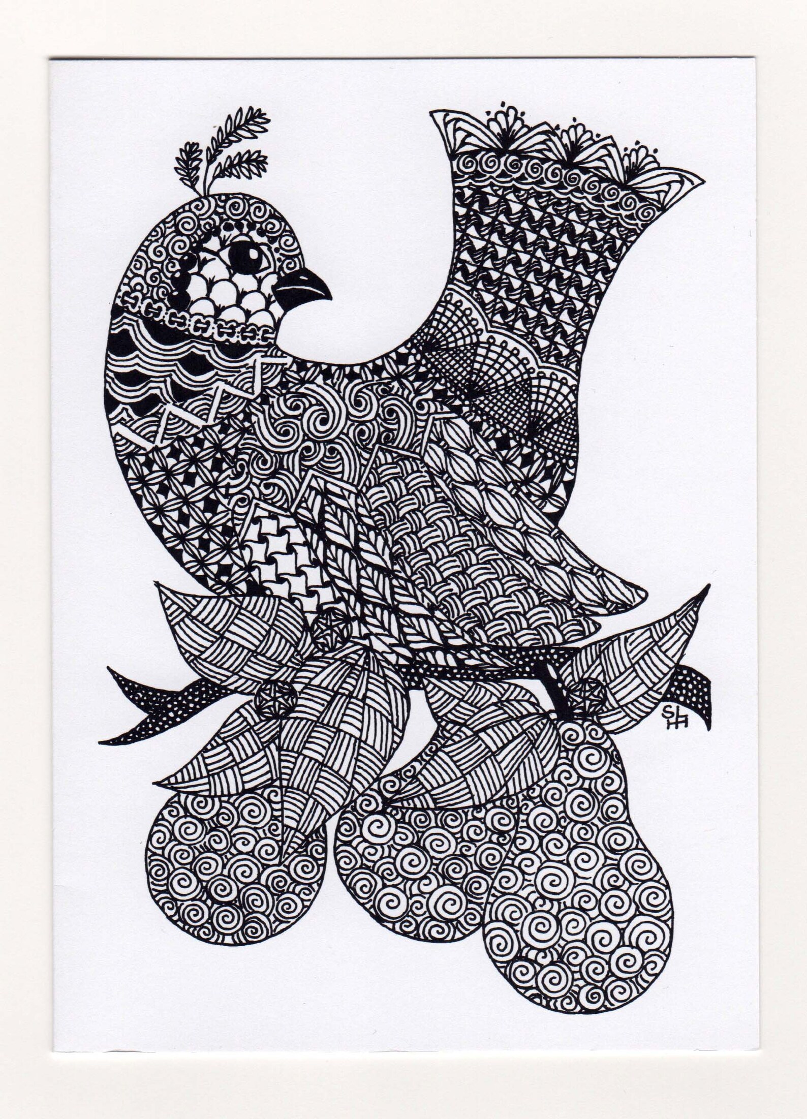 Zentangle, Greeting Card 5x7, Hand Drawn, Partridge in a Pear Tree ...