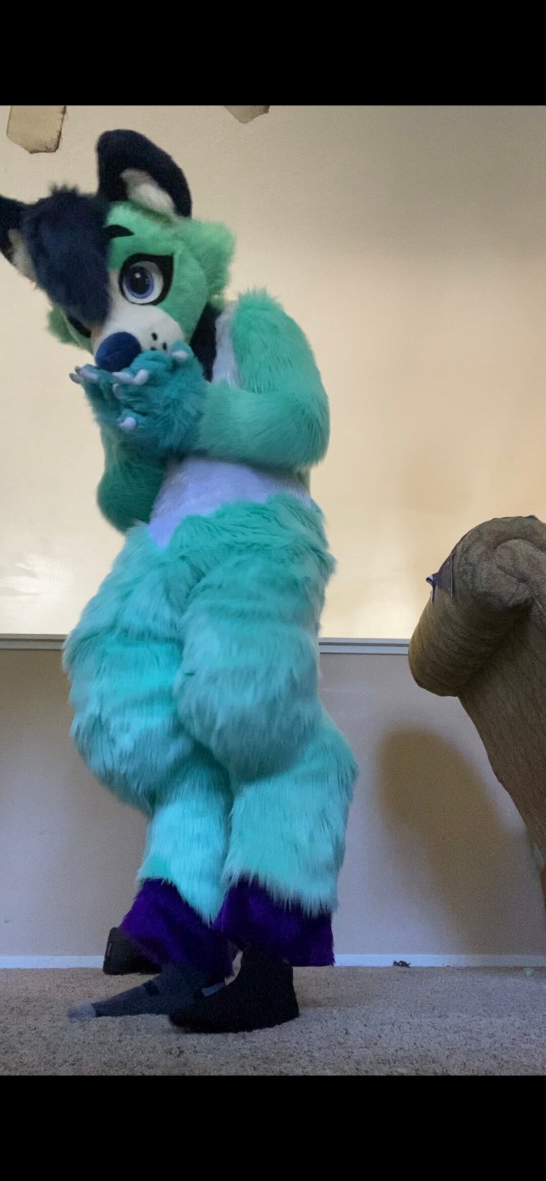 Custom Fursuit half Suit - Etsy