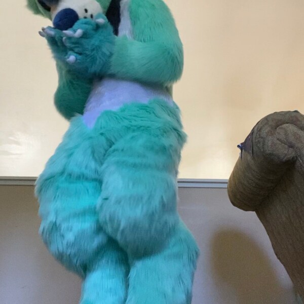 Fursuit Suit - Etsy