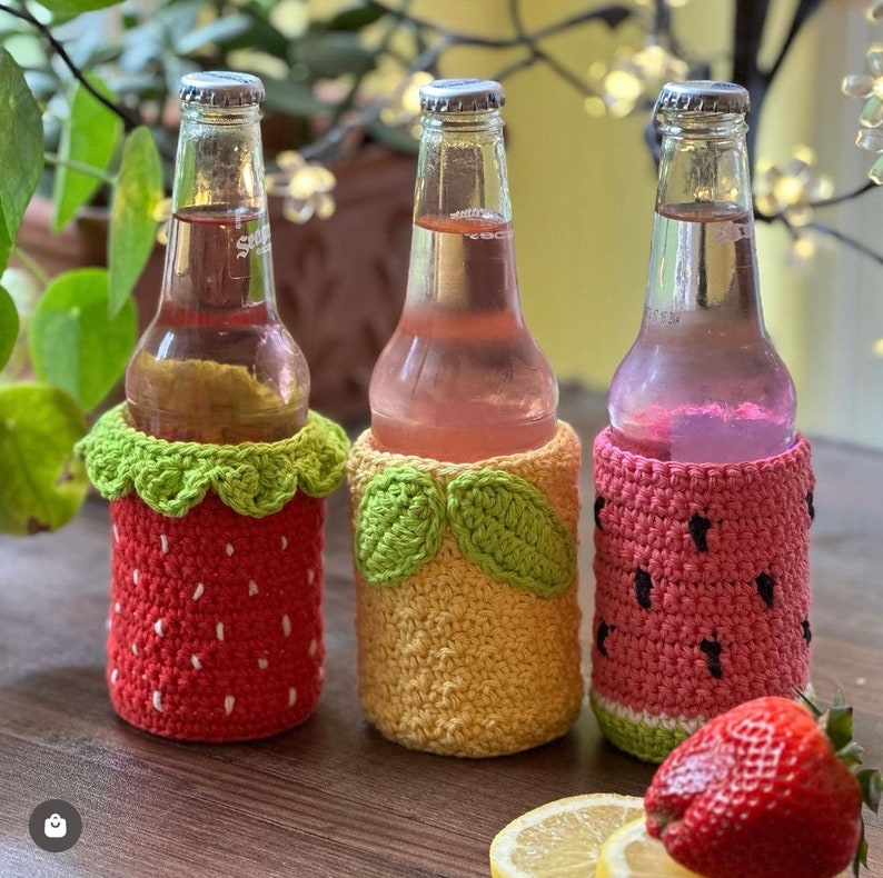 Fruit Snack Cozie - Etsy
