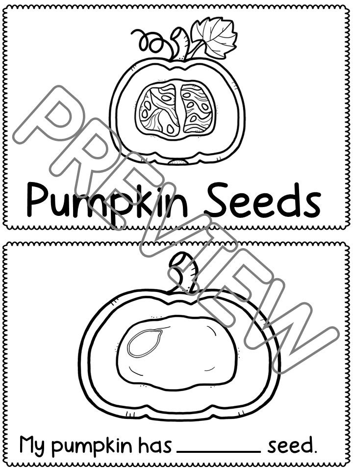 Pumpkin Life Cycle Lesson, Pumpkin Lesson, Pumpkin Activities, Pumpkin ...
