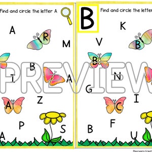 Spring Lessons, Spring Learning, Butterfly Lesson, Butterfly Life Cycle ...