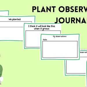 Plant Cycle Lesson, Printable Plant Cycle Lessons, Spring Lessons for ...
