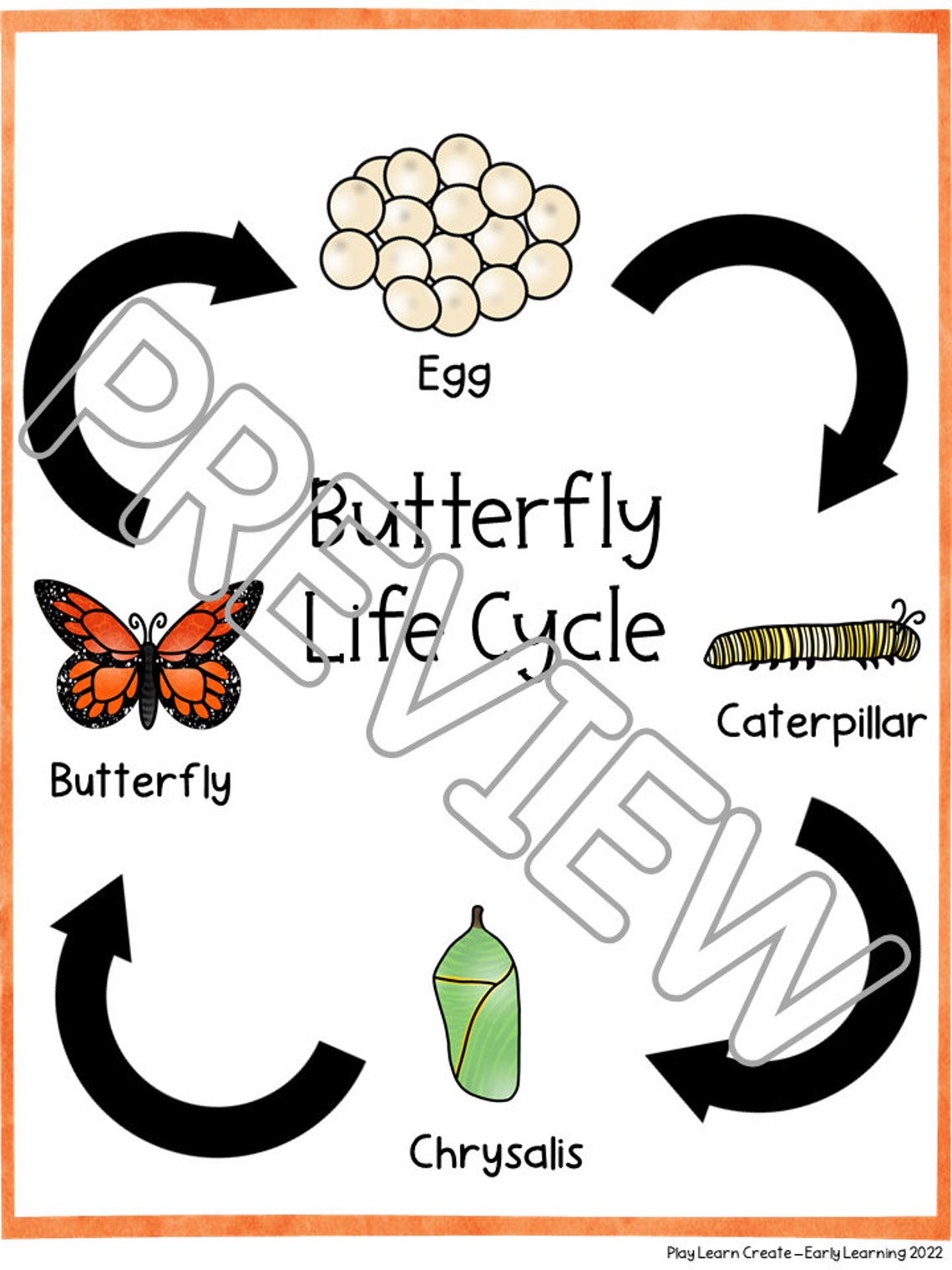 Butterfly Life Cycle Lesson, Preschool Butterfly Lesson, Butterfly ...