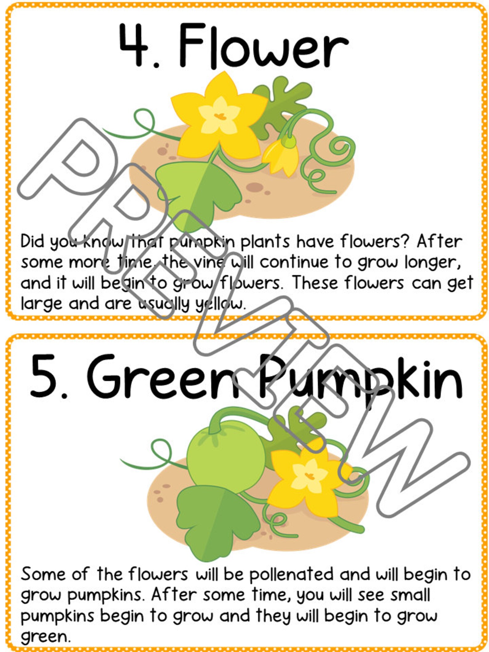Pumpkin Life Cycle Lesson, Pumpkin Lesson, Pumpkin Activities, Pumpkin ...