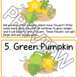Pumpkin Life Cycle Lesson, Pumpkin Lesson, Pumpkin Activities, Pumpkin ...