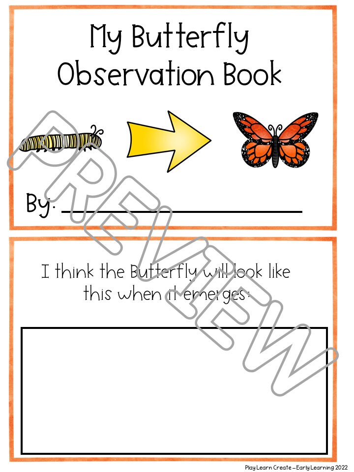 Butterfly Life Cycle Lesson, Preschool Butterfly Lesson, Butterfly ...
