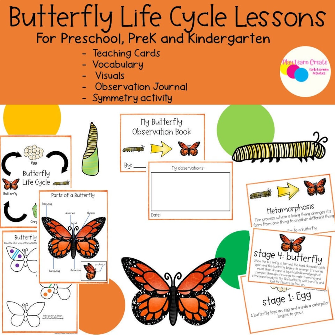 Butterfly Life Cycle Lesson, Preschool Butterfly Lesson, Butterfly ...