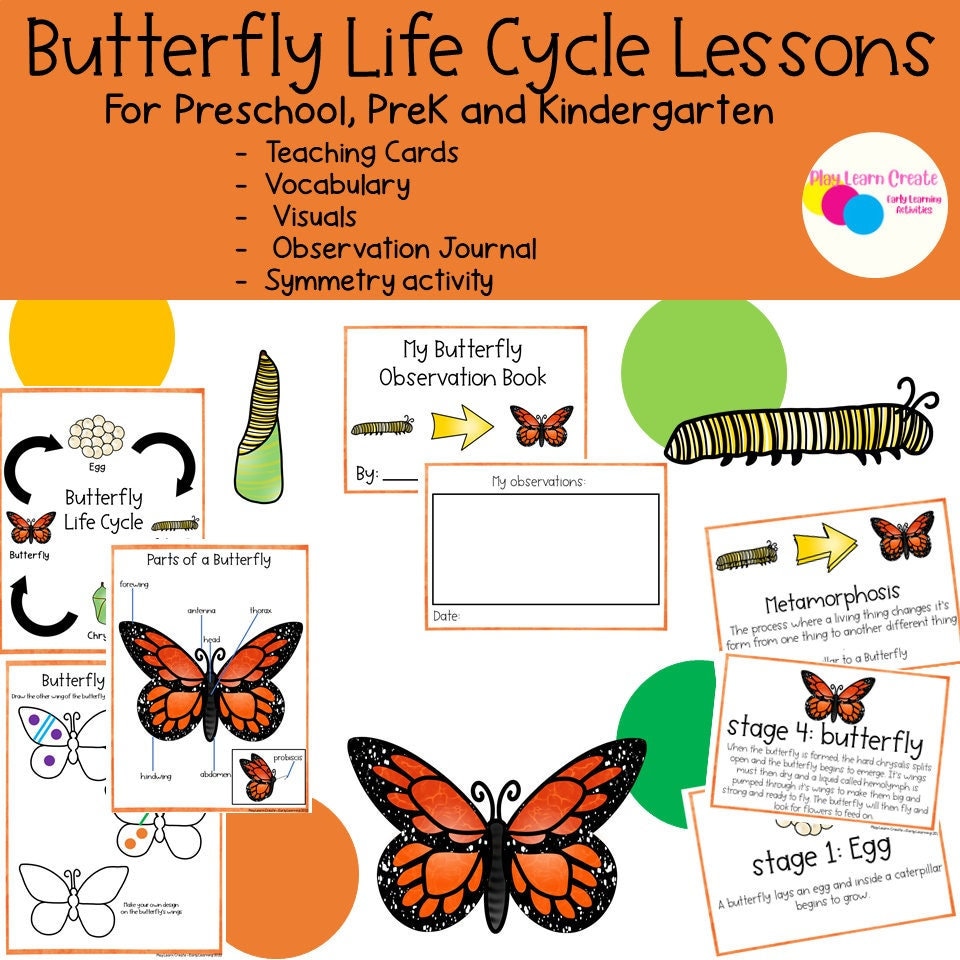 Butterfly Life Cycle Lesson, Preschool Butterfly Lesson, Butterfly ...