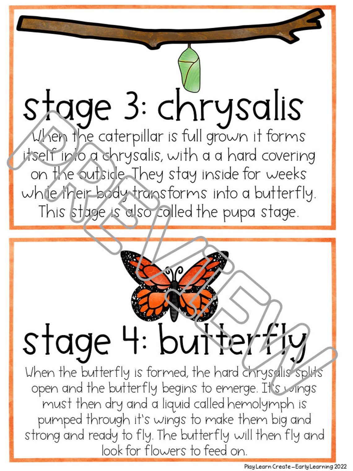 Butterfly Life Cycle Lesson, Preschool Butterfly Lesson, Butterfly ...