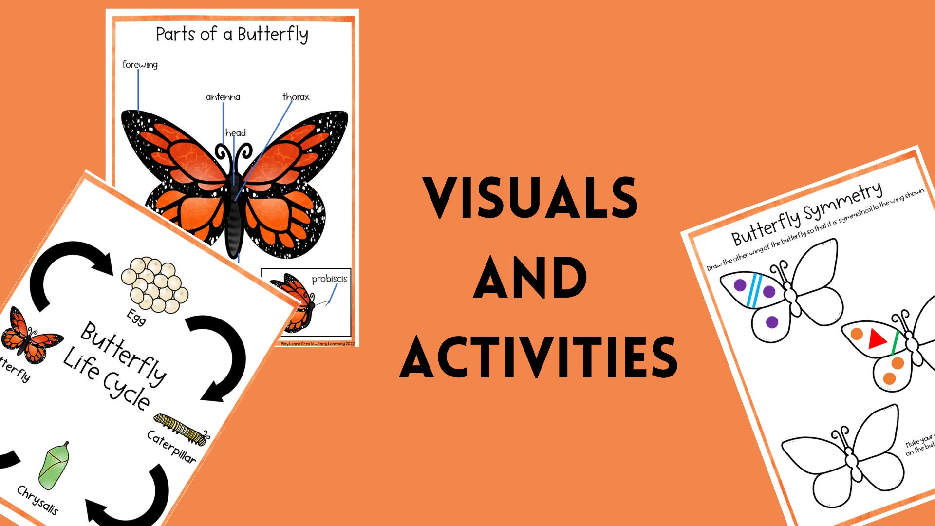 Butterfly Life Cycle Lesson, Preschool Butterfly Lesson, Butterfly ...