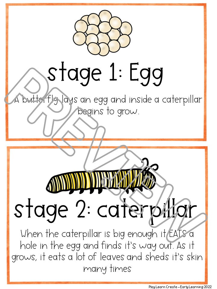 Butterfly Life Cycle Lesson, Preschool Butterfly Lesson, Butterfly ...