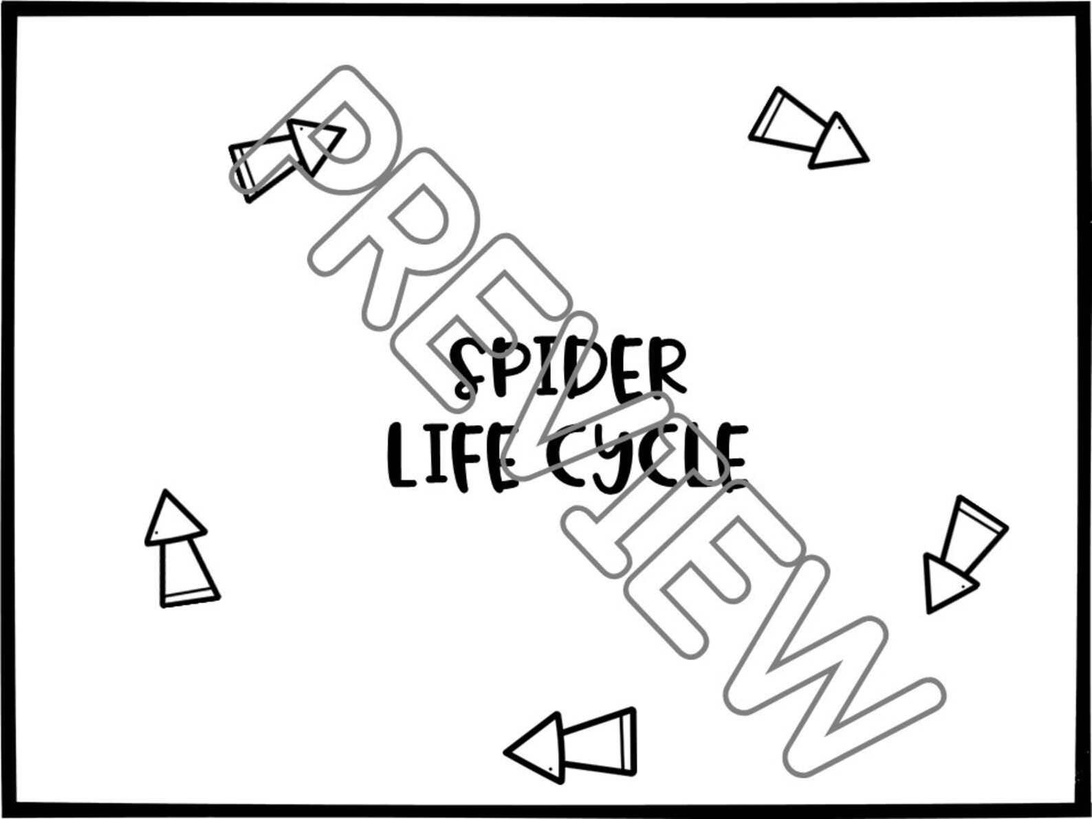 Spider Lesson, Spider Activities, Spider Theme, Spider Life Cycle ...