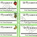 Dramatic Play Set, Pretend Play Set, Fruit Stand or Farmer's Market ...