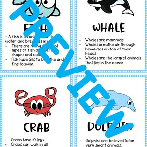 Pretend Play Aquarium, Dramatic Play for Preschool, Dramatic Play ...