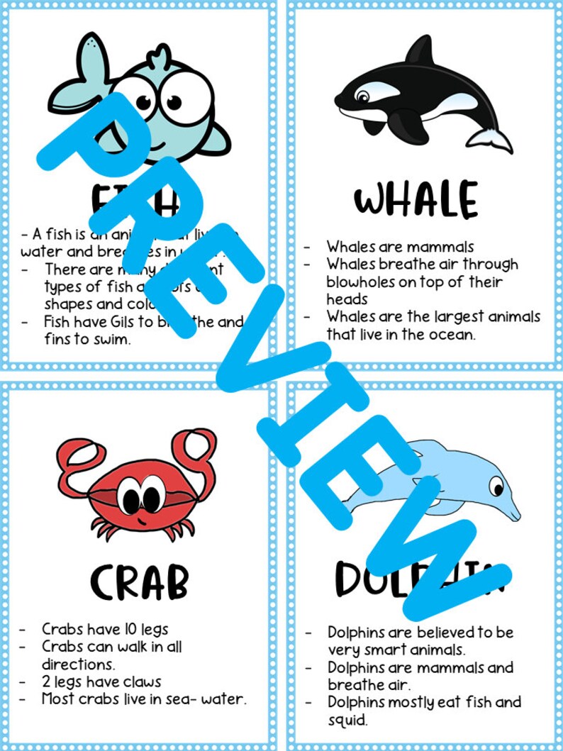 Pretend Play Aquarium, Dramatic Play for Preschool, Dramatic Play ...