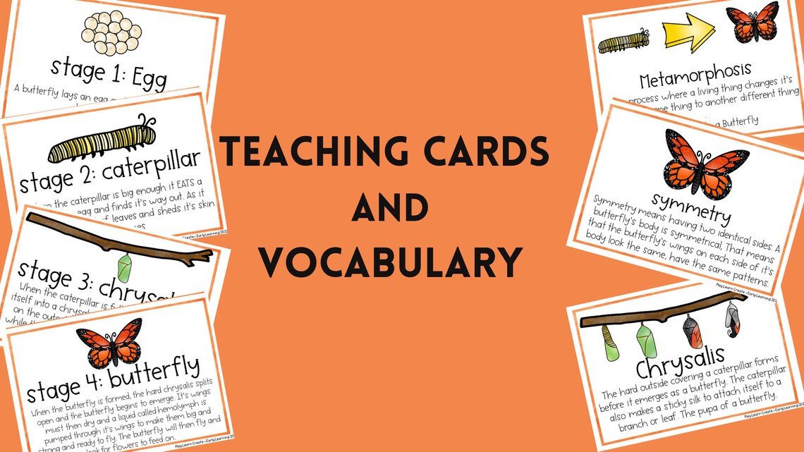 Butterfly Life Cycle Lesson, Preschool Butterfly Lesson, Butterfly ...