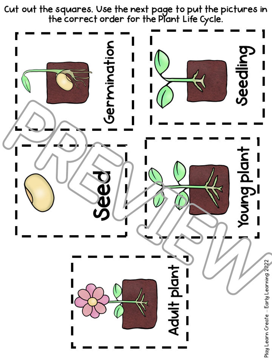 Plant Cycle Lesson Printable Plant Cycle Lessons Spring - Etsy