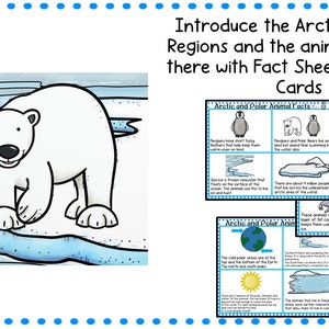 Arctic Preschool Lesson, Polar Animal Preschool Lesson, Preschool ...
