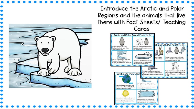 Arctic Preschool Lesson, Polar Animal Preschool Lesson, Preschool ...
