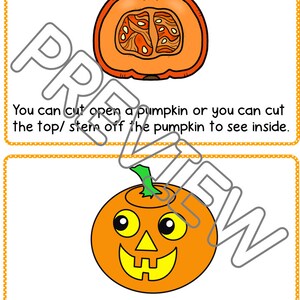 Pumpkin Life Cycle Lesson, Pumpkin Lesson, Pumpkin Activities, Pumpkin ...
