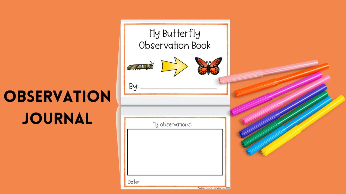 Butterfly Life Cycle Lesson, Preschool Butterfly Lesson, Butterfly ...