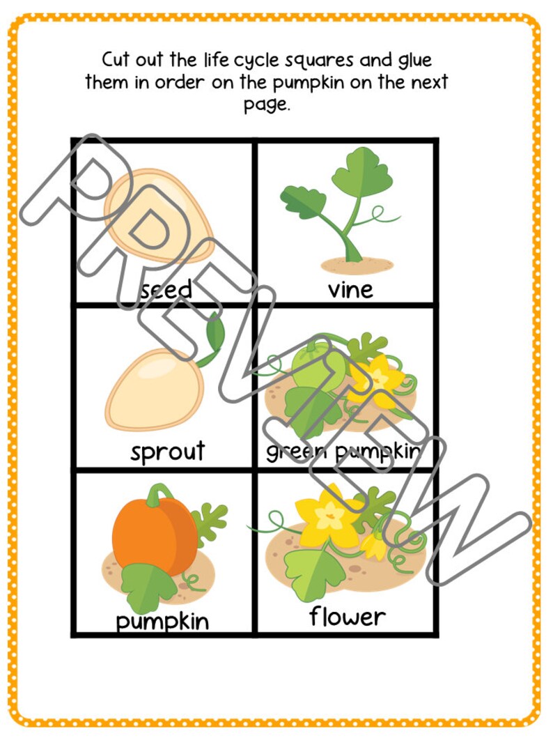 Pumpkin Life Cycle Lesson, Pumpkin Lesson, Pumpkin Activities, Pumpkin ...