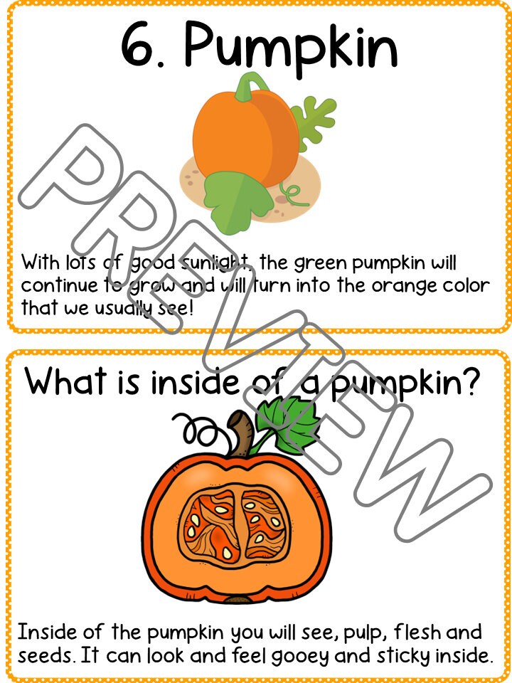 Pumpkin Life Cycle Lesson, Pumpkin Lesson, Pumpkin Activities, Pumpkin ...