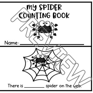 Spider Lesson, Spider Activities, Spider Theme, Spider Life Cycle ...