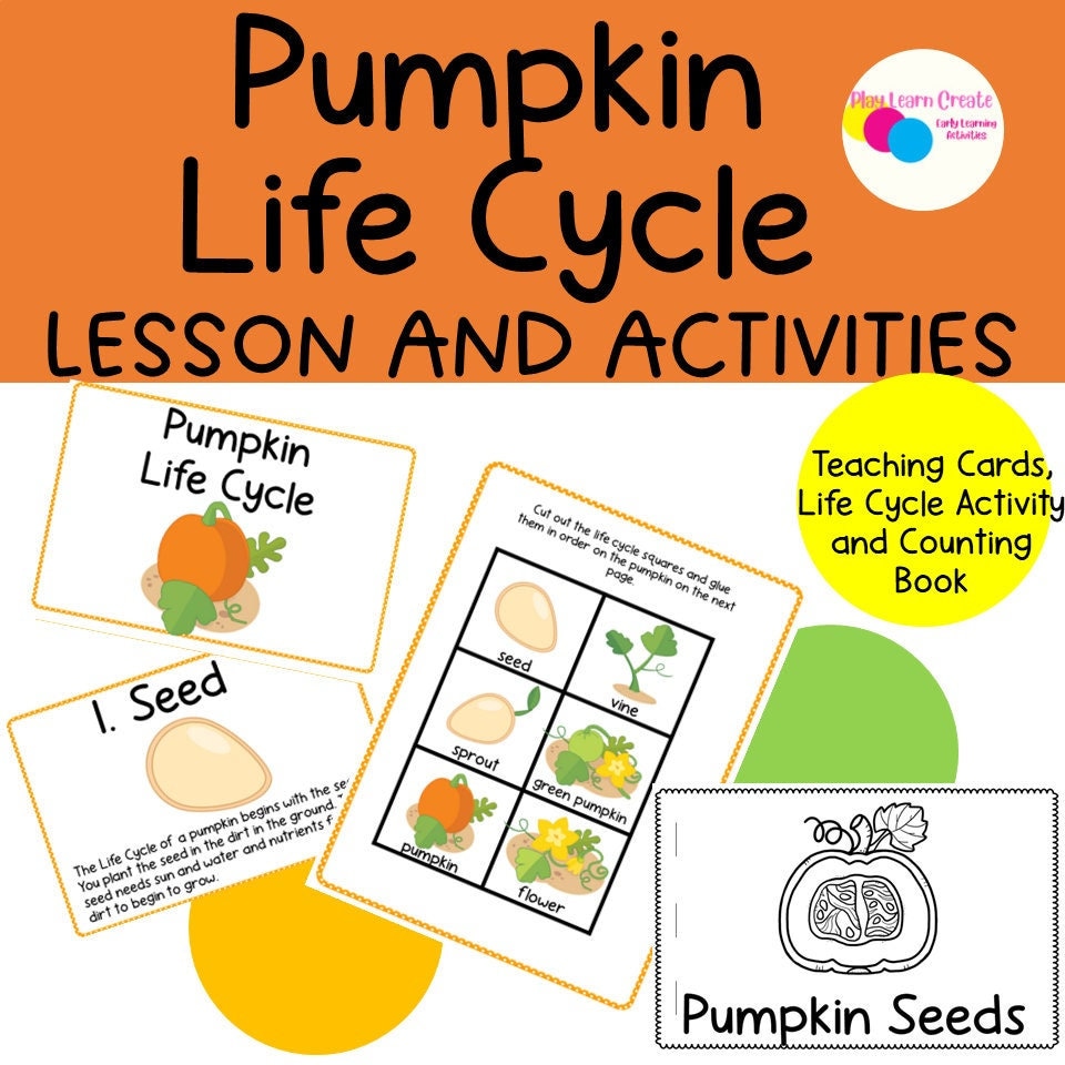 Pumpkin Life Cycle Lesson, Pumpkin Lesson, Pumpkin Activities, Pumpkin ...