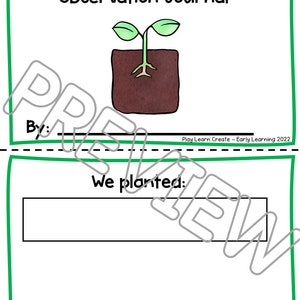 Plant Cycle Lesson, Printable Plant Cycle Lessons, Spring Lessons for ...