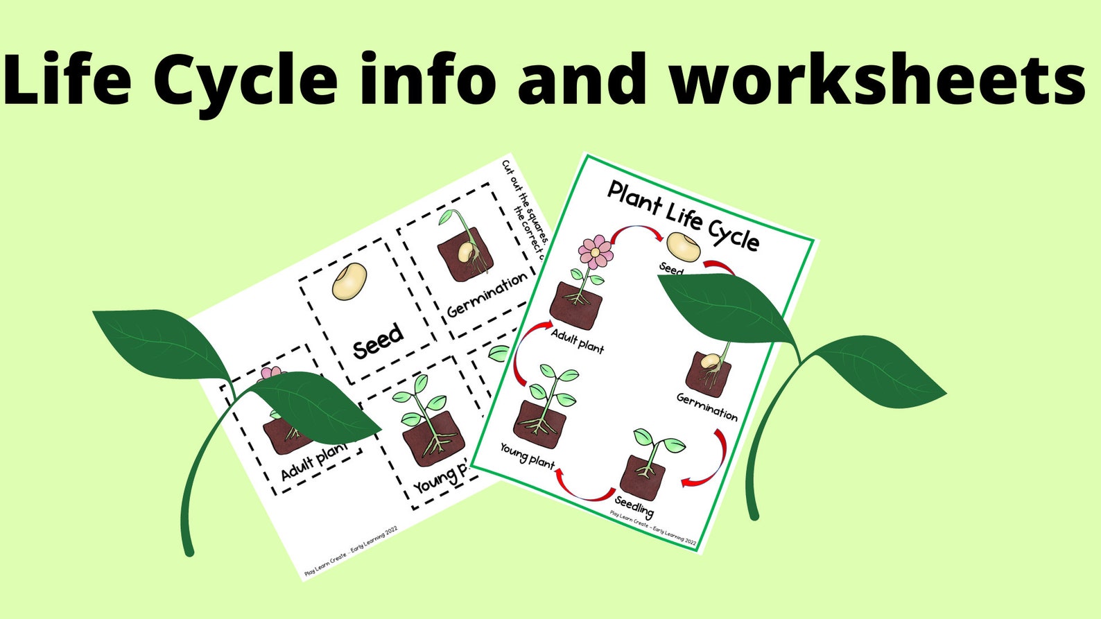 Plant Cycle Lesson, Printable Plant Cycle Lessons, Spring Lessons for ...