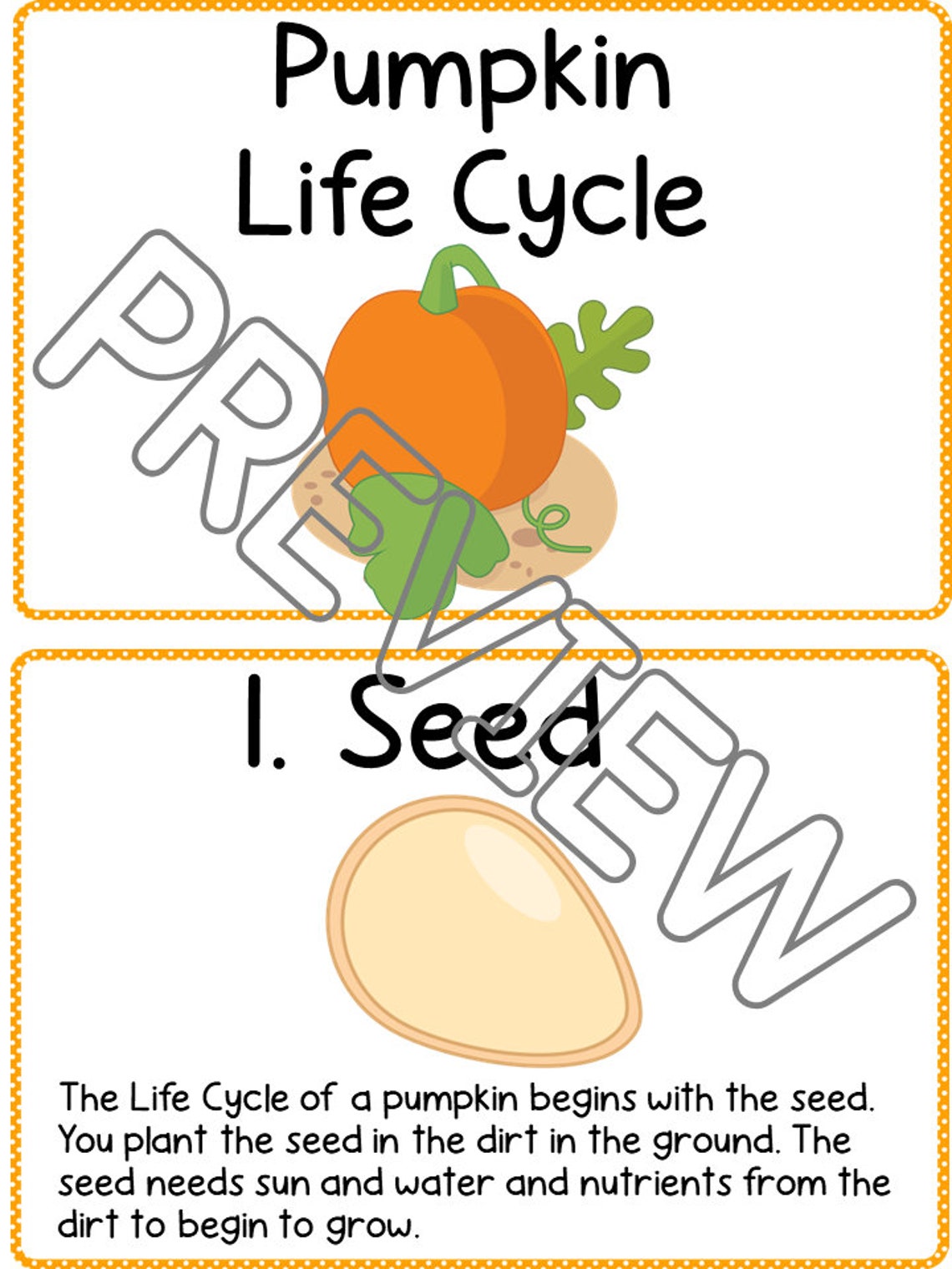 Pumpkin Life Cycle Lesson, Pumpkin Lesson, Pumpkin Activities, Pumpkin ...