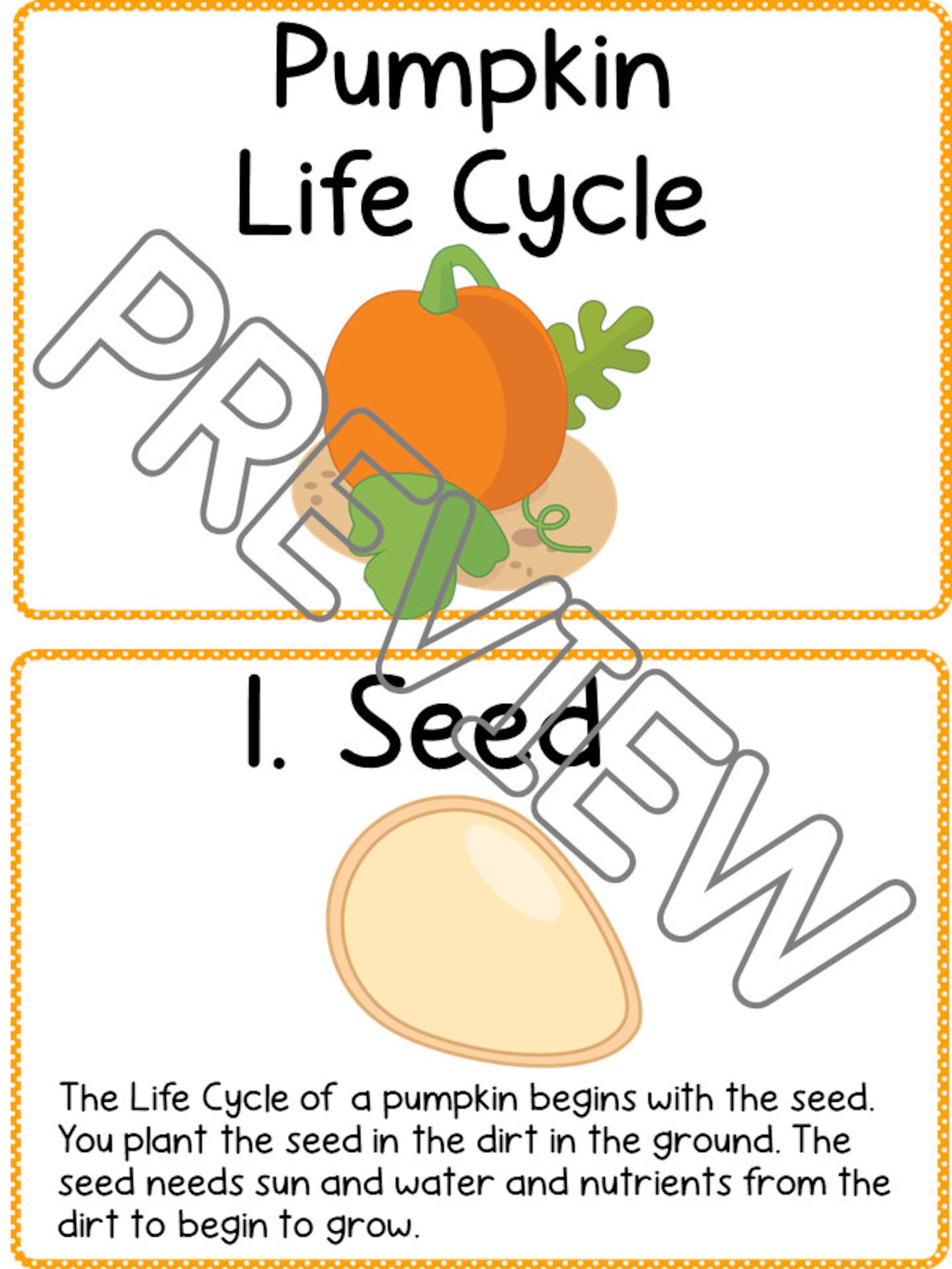 Pumpkin Life Cycle Lesson, Pumpkin Lesson, Pumpkin Activities, Pumpkin ...